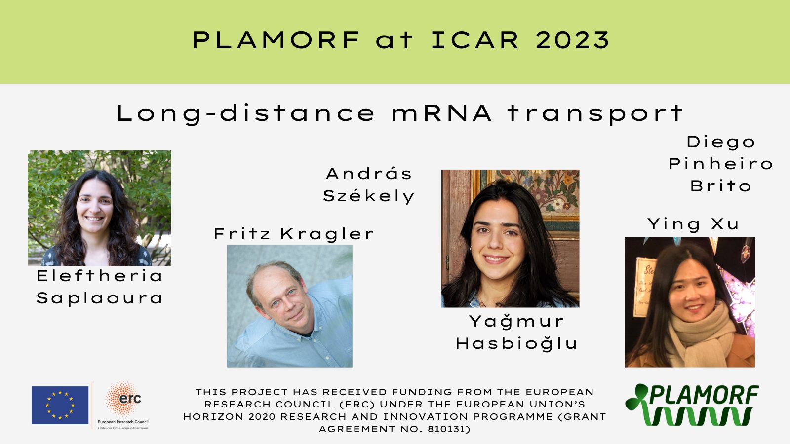 ICAR 2023: Meet the Kragler lab - Plamorf